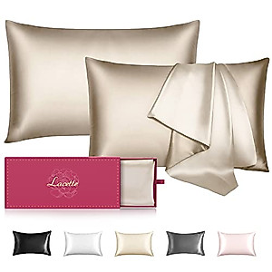 Silk Pillowcase 2 Pack for Hair and Skin,22 Momme 100% Mulberry Silk & Natural Wood Pulp Fiber Grade 6A Dual-Sided Silk Pillow Cases with Hidden Zipper,600 Thread Count(Champagne,Standard 20"x26")