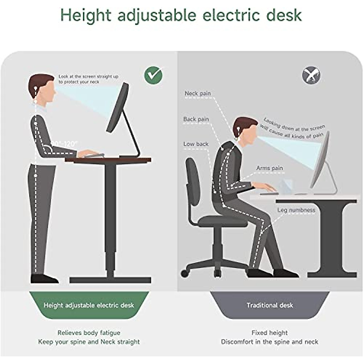 Dripex Adjustable Electric Standing Desk 1, 43 inch, White