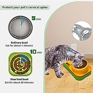 BNOSDM Triple Dog Cat Food Bowls with Gravity Water Bottle Set, Pet Slow Feeder with Detachable Stainless Steel - Tilted Raised No Spill Dog Bowls for Cat Kitten Puppy