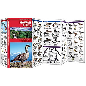 Hawaii Birds: A Folding Pocket Guide to Familiar Species (A Pocket Naturalist Guide)