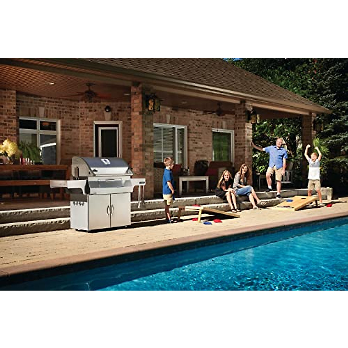 Napoleon PRO605CSS Professional Charcoal Grill, Stainless Steel