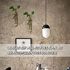 Bunhut Wall Planters for Indoor Plants,Wall Hanging Terrarium Planters,Glass Wall Planters for Floral Arrangement,Hanging Plant Holder, Wall Vase,Wall Mounted Planters (4 Glass Wall Planter)