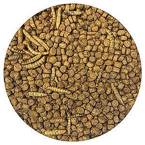 Exotic Nutrition Hedgehog Essential - Chicken Kibble with Mealworms (1.75 Pound)