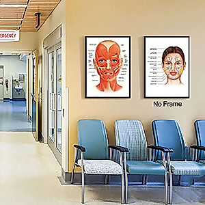 Facial Artery Muscle Poster Muscle Canvas Wall Art Facial Anatomy Poster for Hospital Clinic Decor Doctor Artwork Facial Vessels Poster Hospital Pictures Vessels Detailed Art Print 16x24inch No Frame