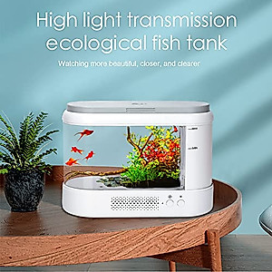 AQQA 1.8 Gallon Multifunction Self-Cleaning Fish Tank,Small Desktop Aquarium Starter Kit,Hidden Filtration with LED Color Light and Aromatherapy Diffusers,Suitable for Home and Office