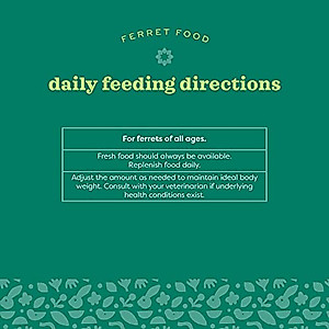 Oxbow Animal Health Essentials Ferret Food - 4 lb