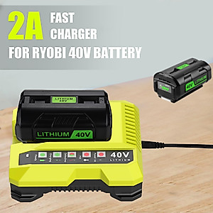 Bakipante OP401 40V Battery Charger Compatible with Ryobi 40V Battery Charger for OP4015 OP4026 OP4026A OP4030 OP40301 OP4040 OP4050 OP4050A Lithium-ion Battery