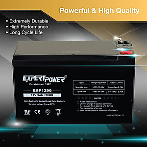 ExpertPower EXP1290 12 Volt 9 Amp Rechargeable Battery