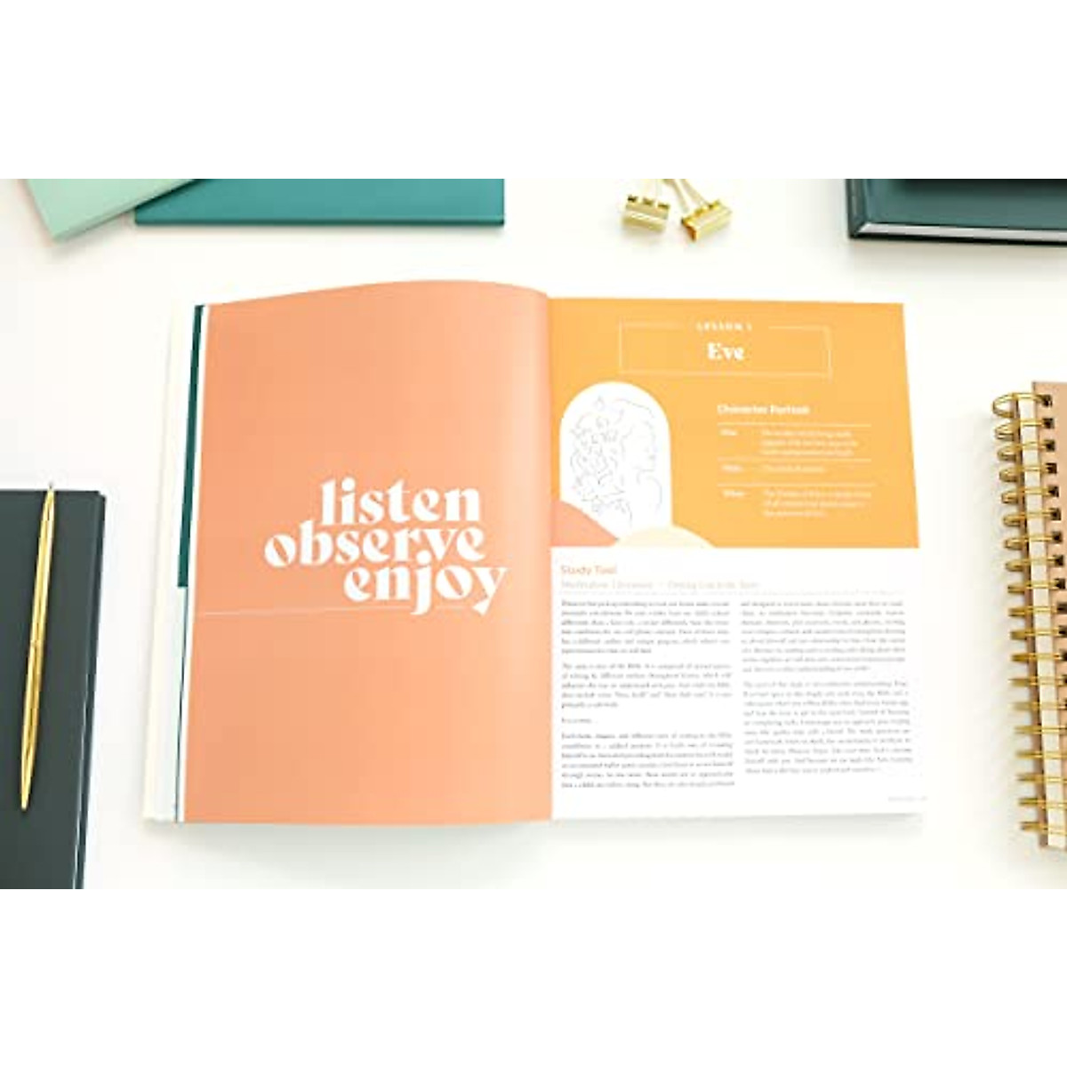 Brave and Beloved: A Bible Study for Women Exploring the Wisdom and Diversity of Women in the Bible