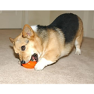 Starmark Everlasting Treat Bento Ball Tough Dog Chew Toy Medium