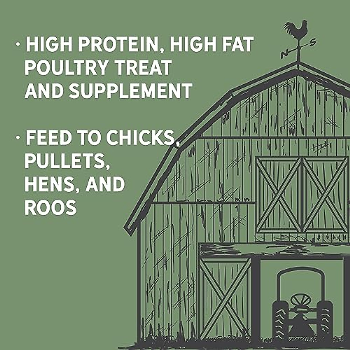 New Country Organics | Flock Perfect Chicken Dance Grubs for Chickens | 3.5 lbs