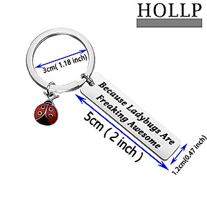 HOLLP Ladybug Jewelry Lady Beetle Gift Because Ladybugs Are Freaking Awesome Keychain for Gardener (Because Ladybugs)