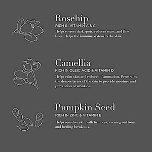 Averr Aglow Flawless Nourishment Cream, Facial Moisturizer Skin Care Cream, Hydrated Oil Balance, Natural Solution, Daily Face Dry Skin Body Treatment