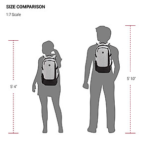 SwissGear 3598 Backpack Narrow Daypack, Light Grey/Heather, 18-Inch