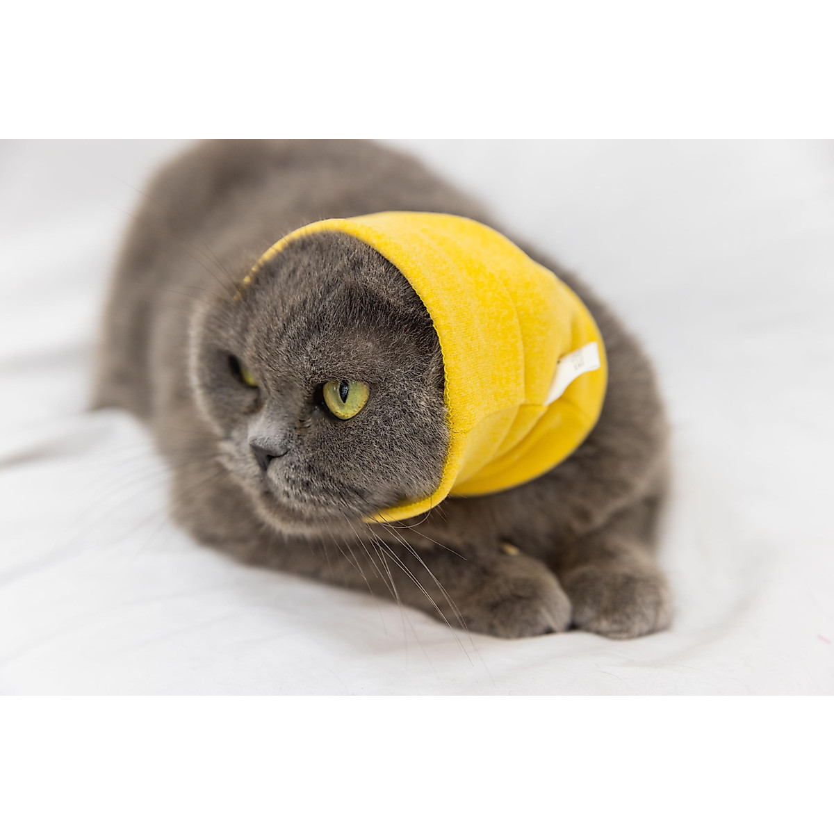 DDFS Cat Hematoma Ear Wrap,Cat No Flap Ear Wrap Anxiety & Stress Relief - No Flap Ear Wrap for Cats Yellow S