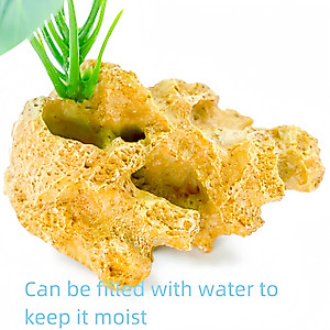 MRTIOO Reptile Artificial Plants, Terrarium Plants Decorations Supplies, Amphibian Habitat Hideout Tank Accessories, Rainforest Ground Plant