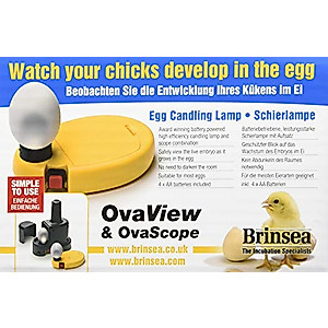 Brinsea Products Egg Scope for Monitoring The Development of The Embryo within The Egg