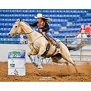 MagnaGard Pre-Performance Paste for Horses - All Natural Calmer, Acid Buffer, Gastric Support w/ Electrolytes - 60ml Syringe