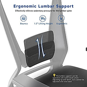 Dripex Ergonomic Office Chair, High Back Desk Chair, Computer Mesh Chair with Lumbar Support, Adjustable Headrest & 2D Armrest, 90°-135°Tilt Function, 360° Swivel Home Office Task Chair, Black