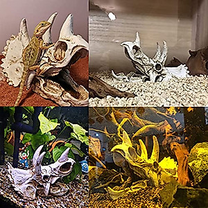 Hamiledyi Bearded Dragon Dinosaur Decor 4 Pack Reptile Aquarium Accessories Resin Triceratops Skull Amphibians Hides and Caves for Snake Gecko Chameleon Lizard Spider