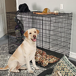 48 Inches Dog Crate Large Foldable Dog Kennel Metal Wire Pet Dog Cage with Double-Door Leak-Proof Tray Divider Panel and Handle for Dog Cat Pet,Black 48”X31”X29”
