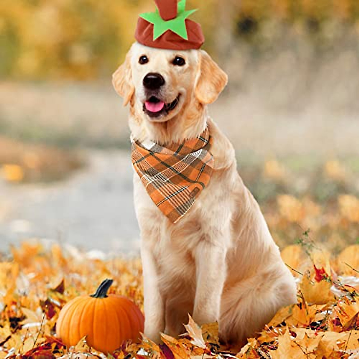 Malier 2 Pack Fall Dog Bandana Halloween Thanksgiving Plaid Dog Bandanas, Holiday Pet Reversible Scarf Bibs Accessories Costumes for Small Medium Large Dogs and Cats