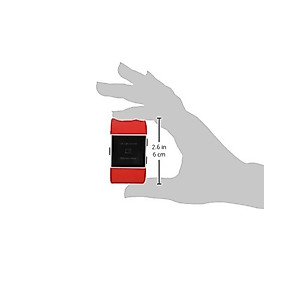 Fitbit Surge, Tangerine, Large