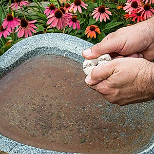 Summit Mosquito Dunks, 20 Dunks, Natural, 1 pack, for Bird