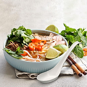 [600 COUNT] HAKOWARE by HARVEST PACK Disposable Asian Soup Spoons with Hook, made from Plastic, for Take-out Ramen Pho Noodles