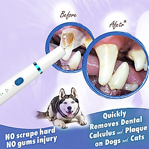 Dog Teeth Cleaning Kit, Plaque Remover for Teeth, Plaque and Tartar Remover, Rechargeable Ultrasonic Dental Scaler Tools with LED for Dog and Cat (White)