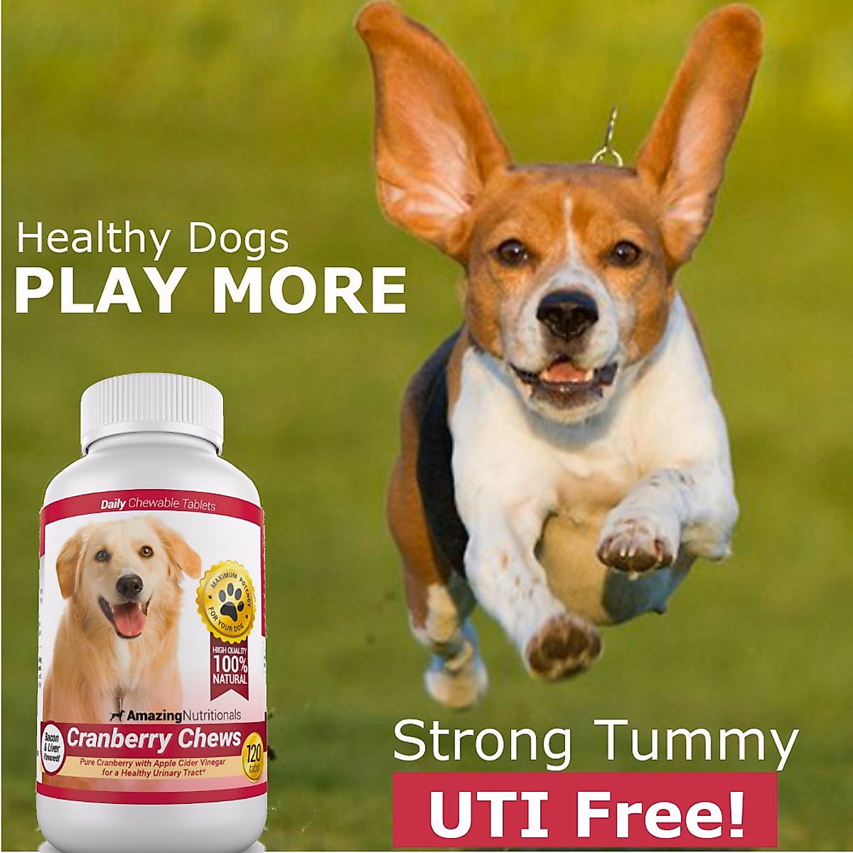 Amazing Cranberry Chews and Amazing Probiotic Joint for Dogs