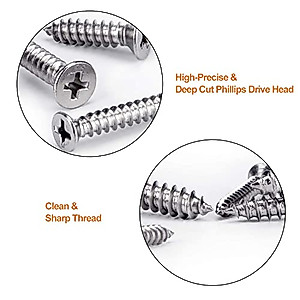 WELLOCKS Wood Screws 265 PCS 304 Stainless Steel M3/M4/M5 Self Tapping Screws Assortment Set, Flat Head Rust Proof Wood Screw Kit with Storage Box for Homemade, Repair, Woodwork Indoor Outdoor (D034)