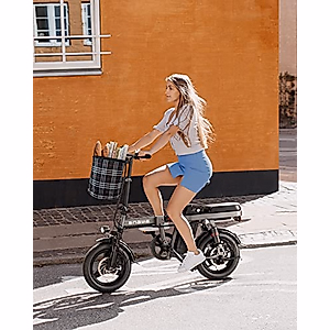 ENGWE Mini Electric Bike for Adults Teens, 14" Fat Tire City Commuter Ebike, 20MPH Light Weight Folding Electric Bicycles with 350W Motor 48V 10AH Removable Lithium Battery Multiple Shock Absorptions