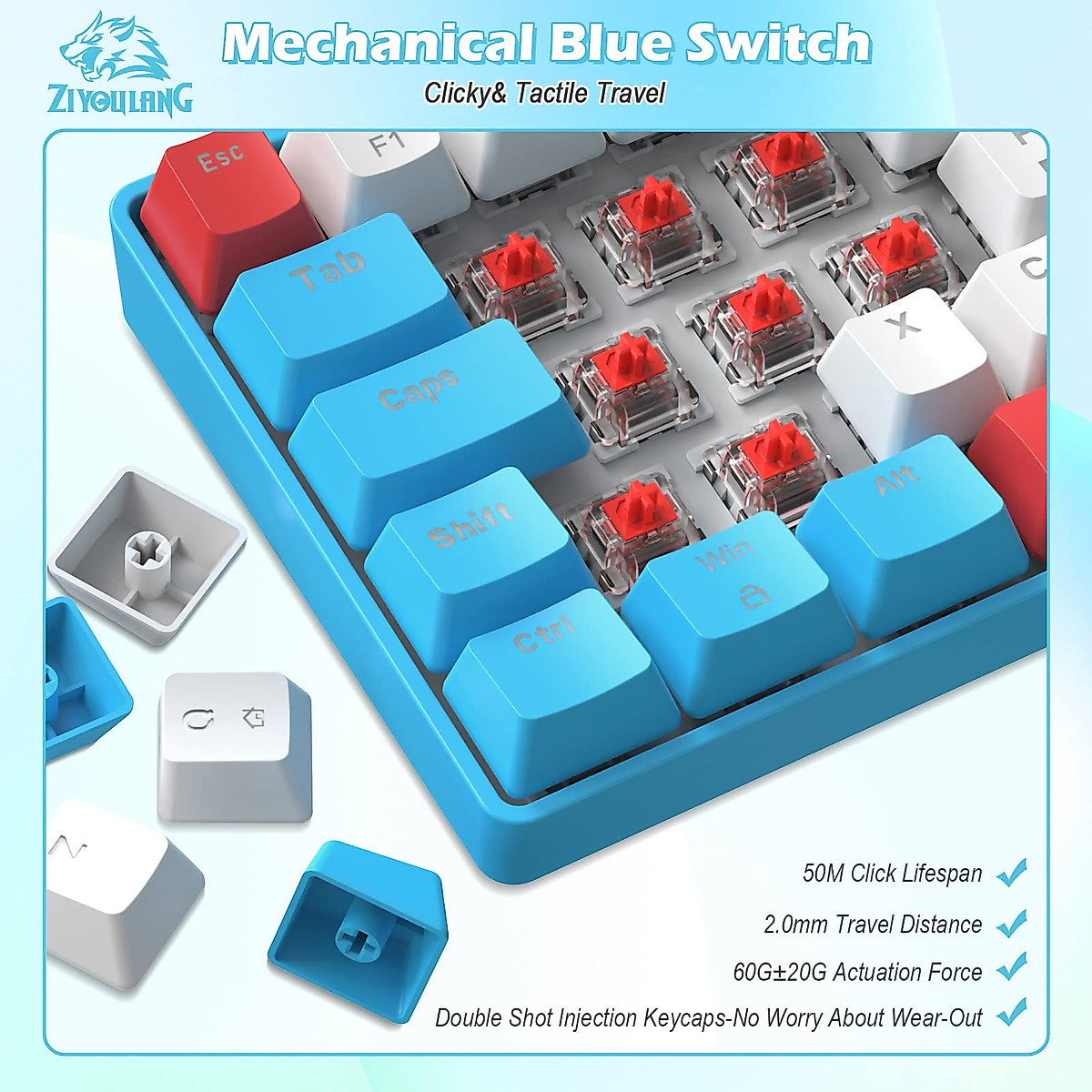 ZIYOU LANG RK-T60 Wired Mechanical Gaming Keyboard and Mouse Combo Mini Portable with Rainbow Backlit 62Key NKRO 6400DPI RGB Honeycomb Mice Coiled Aviator C Cable for PS4/PC/WIN Gamer(Blue/Red Switch)