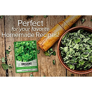 Oregano Seeds for Planting Heirloom Non-GMO Herb Plant Seeds for Home Herb Garden Makes a Great Gift for Gardening by Gardeners Basics