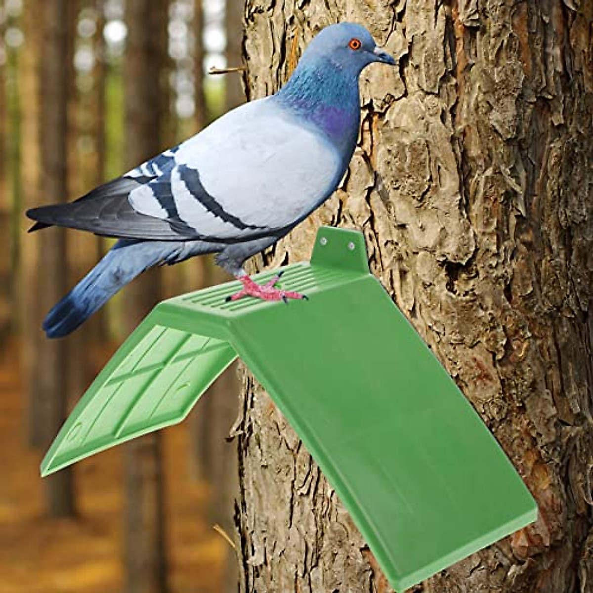 Yardwe 20pcs Plastic Pigeon Rest Stand Bird Perches Bird Dwelling Stand Frame for Bird Supplies Random Color