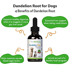 Pet Wellbeing Dandelion Root for Dogs - Liver & Heart Health, Digestive Function, Blood Sugar Support, Certified Organic - Veterinarian-Formulated Herbal Supplement 2 oz (59 ml)
