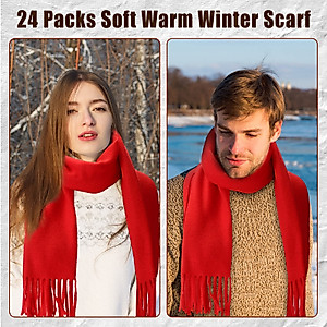 Kigeli 24 Pack Winter Scarves Solid Soft Warm Scarf with Fringe Men Women Cold Weather Scarves Wraps Warm Winter Scarf Bulk (Red)