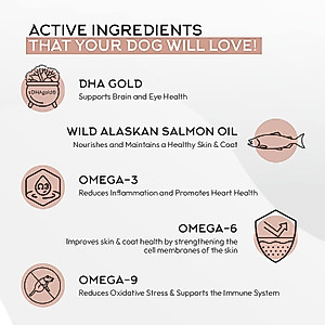 Gnawty Bites Omega Shine | Dog Skin and Coat Supplement for Healthy & Lustrous Coat with Omega 3-6-9 & Fish Oil | Dry, Irritated, & Itchy Skin Relief for Dogs, 120 Soft Chews