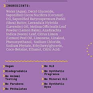 Alaffia Babies and Kids Shampoo and Body Wash, Gentle and Calming Support for Soft Hair and Skin with Shea Butter, Neem, and Coconut Oil, Fair Trade, Coconut Strawberry, 2 Pack – 16 Fl Oz Ea