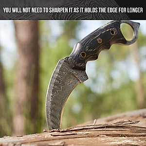 BIGCAT ROAR 7.5″ Handmade Karambit Damascus Hunting Knife with Leather Sheath - Ideal for Skinning, Camping, Outdoor - Full Tang Fixed Blade Karambit Knife with Walnut Wood Handle - Desert Fox