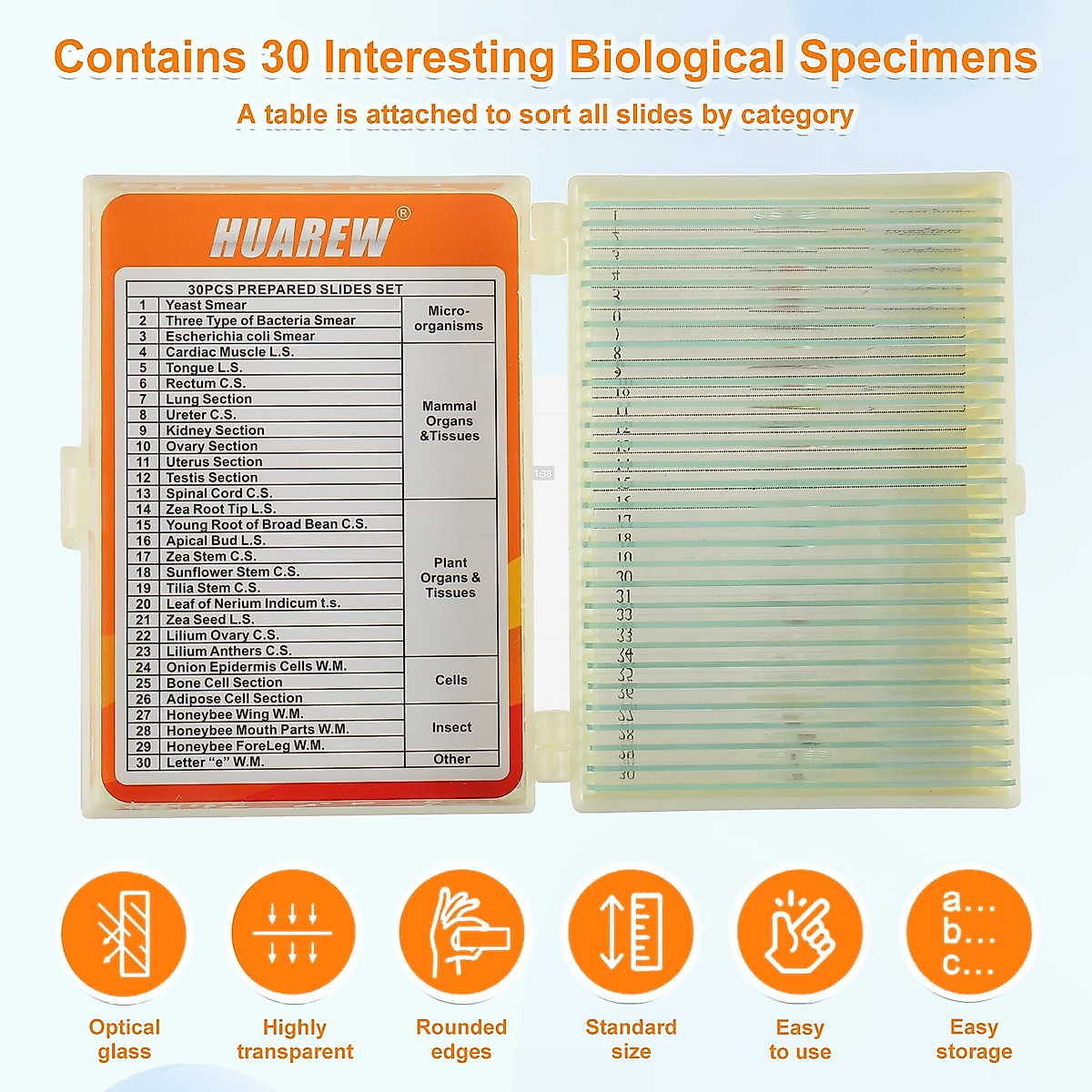 HUAREW 30 Pcs Microscope Slides with Specimens for Kids, Glass Prepared Slides Set for Microscope Accessories, Biology Gifts and Basic Science for Kid Education