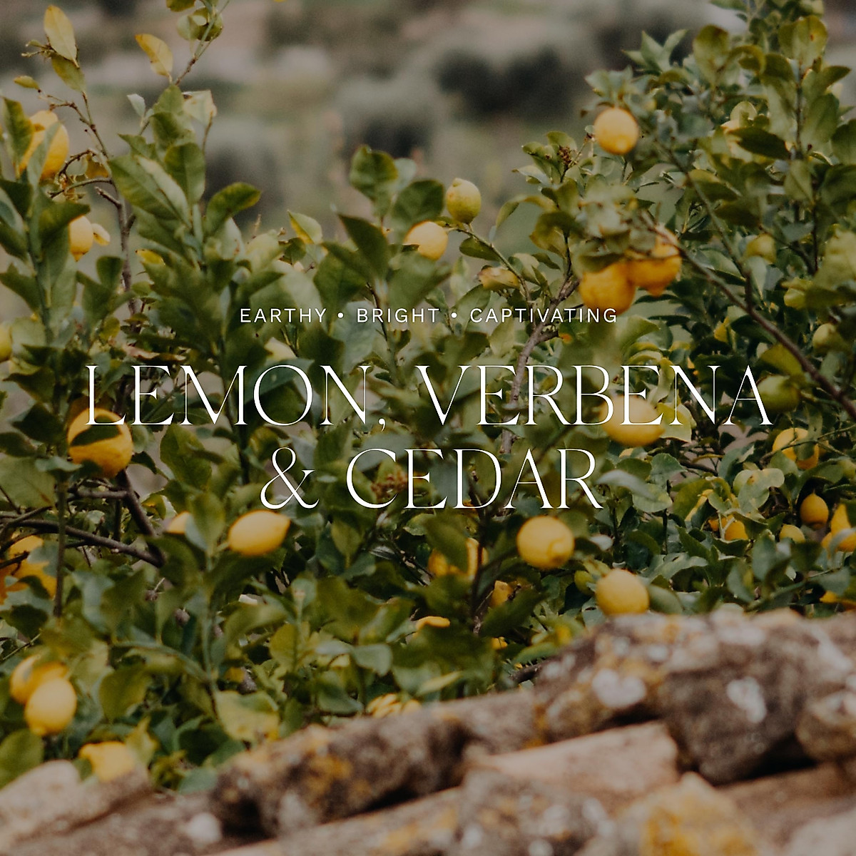 Antica Farmacista Room Spray, Lemon, Verbena and Cedar 3.4 Fl Oz