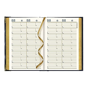 Brownline 2023 Executive Daily Planner, Appointment Book, 12 Months, January to December, Sewn Binding, 7.125" x 4.875", Assorted Colors, Trilingual (CBE504.ASX-23)