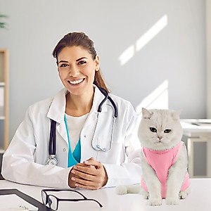 Avont Cat Recovery Suit - Kitten Onesie for Cats After Surgery, Cone of Shame Alternative Surgical Spay Suit for Female Cat, Post-Surgery or Skin Diseases Protection -Pink(M)