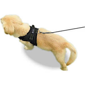 Copatchy No Pull Reflective Adjustable Dog Harness with Handle- Comfortable Soft All Weather Mesh, Easy On Puppy Harness for Small Medium and Large Dogs (Black) Small