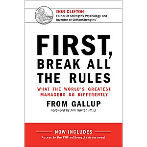 First, Break All the Rules: What the World's Greatest Managers Do Differently