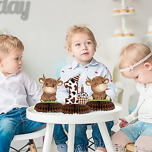 Qilery 10 Pcs Holy Cow First Birthday Decorations, Cow First Birthday Honeycomb Centerpiece Party Supplies for Boy Girl, Baby 1st Birthday Farm Cow Table Toppers Sign Decor