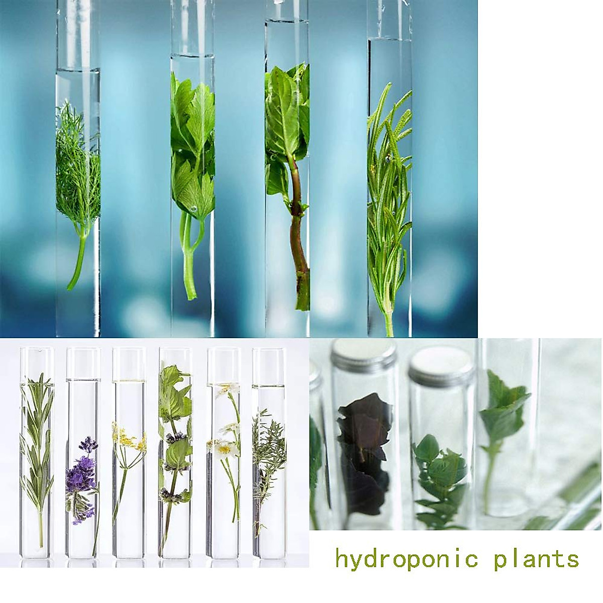 24 Pcs 50ml Flat-Bottomed Transparent Test Tube with Aluminum Screw Caps,Non-breakable Clear Plastic Organizer with Leak-proof Lids,Plastic Storage Tubes for Candy,Bath Salt,Granules and Liquids