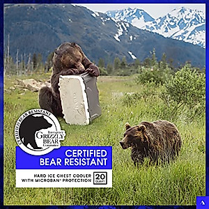 Arctic Zone Titan Deep Freeze 20Q Premium Ice Chest Roto Cooler with Microban Antimicrobial Protection, Gray